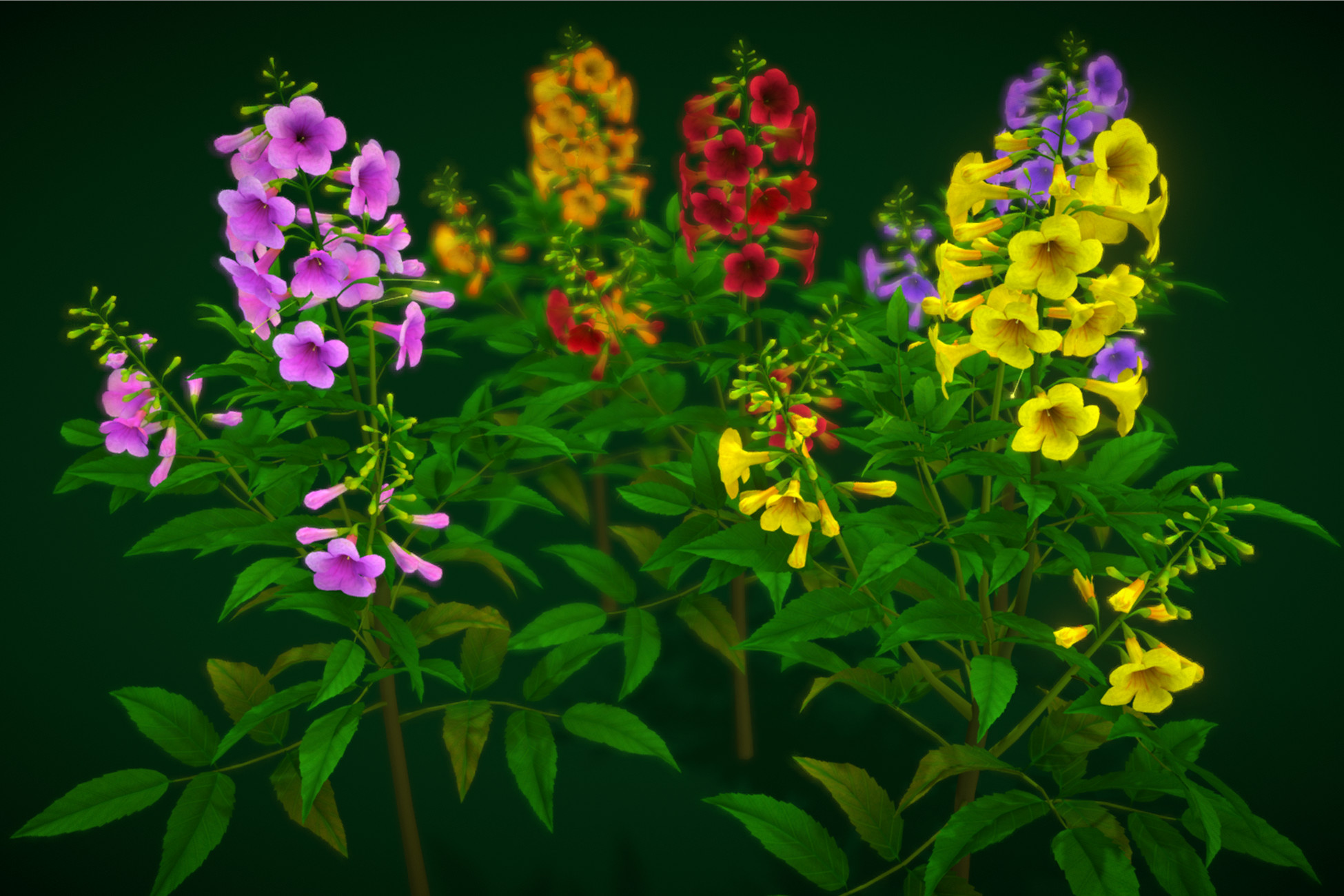 Flower Bahamas | 3D 花 | Unity Asset Store