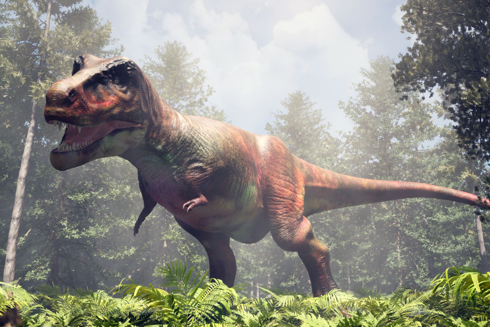 Tyrannosaurus -Virtual Dinosaur- | Characters | Unity Asset Store