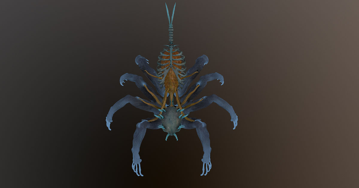 Monster Bone Spider | 3D Creatures | Unity Asset Store