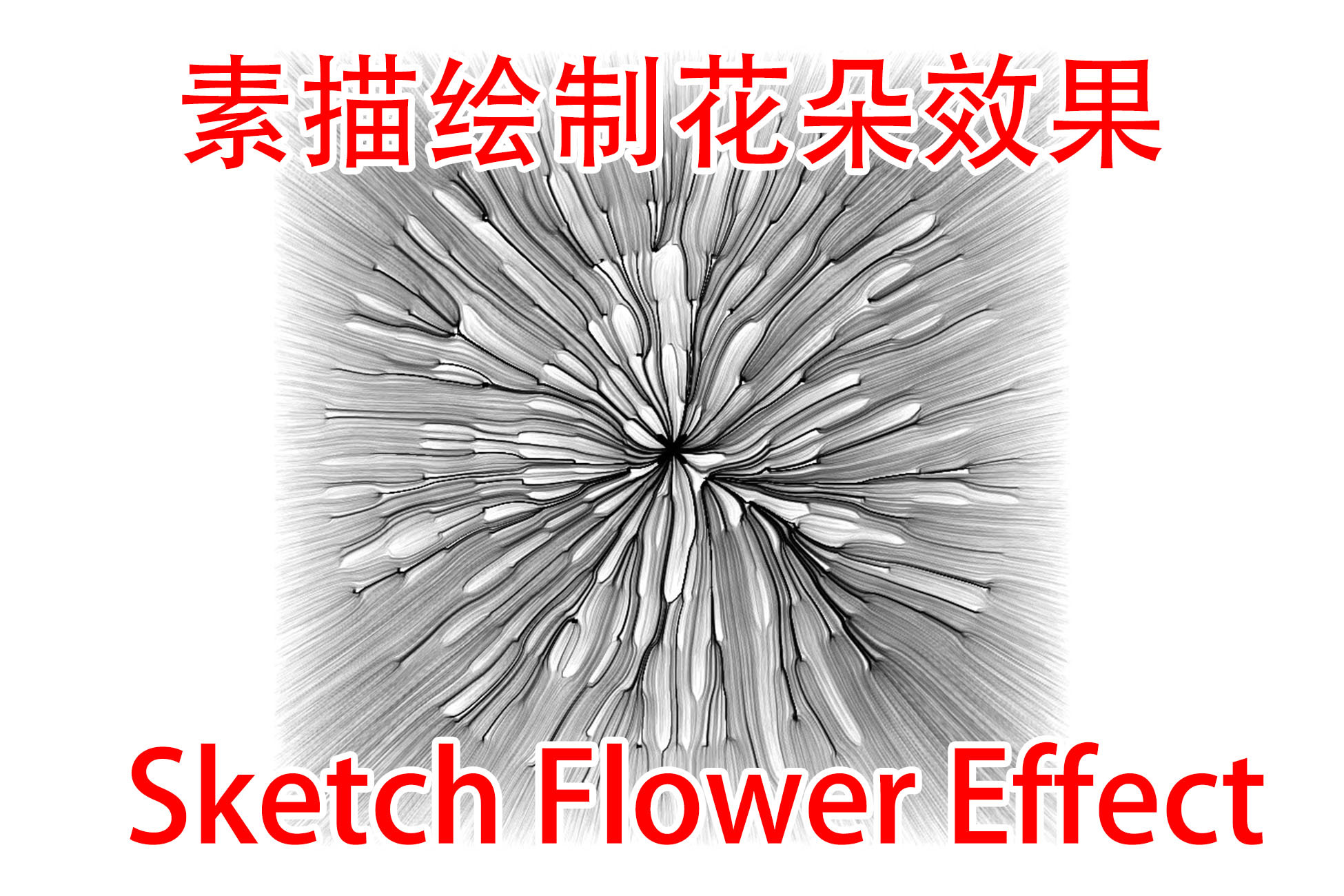 Sketch Flower Effect | Particles/Effects | Unity Asset Store