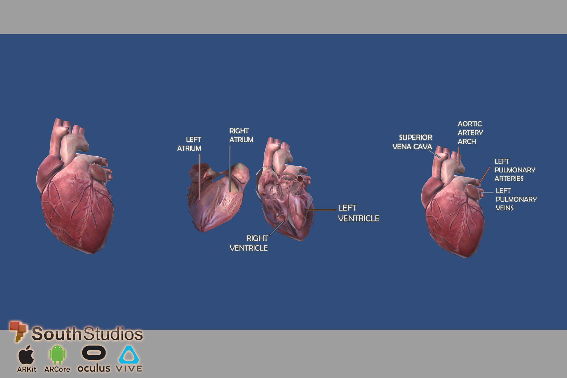 Animated Heart | 3D Characters | Unity Asset Store