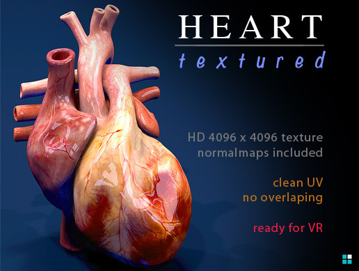 Heart Textured | 3D Characters | Unity Asset Store