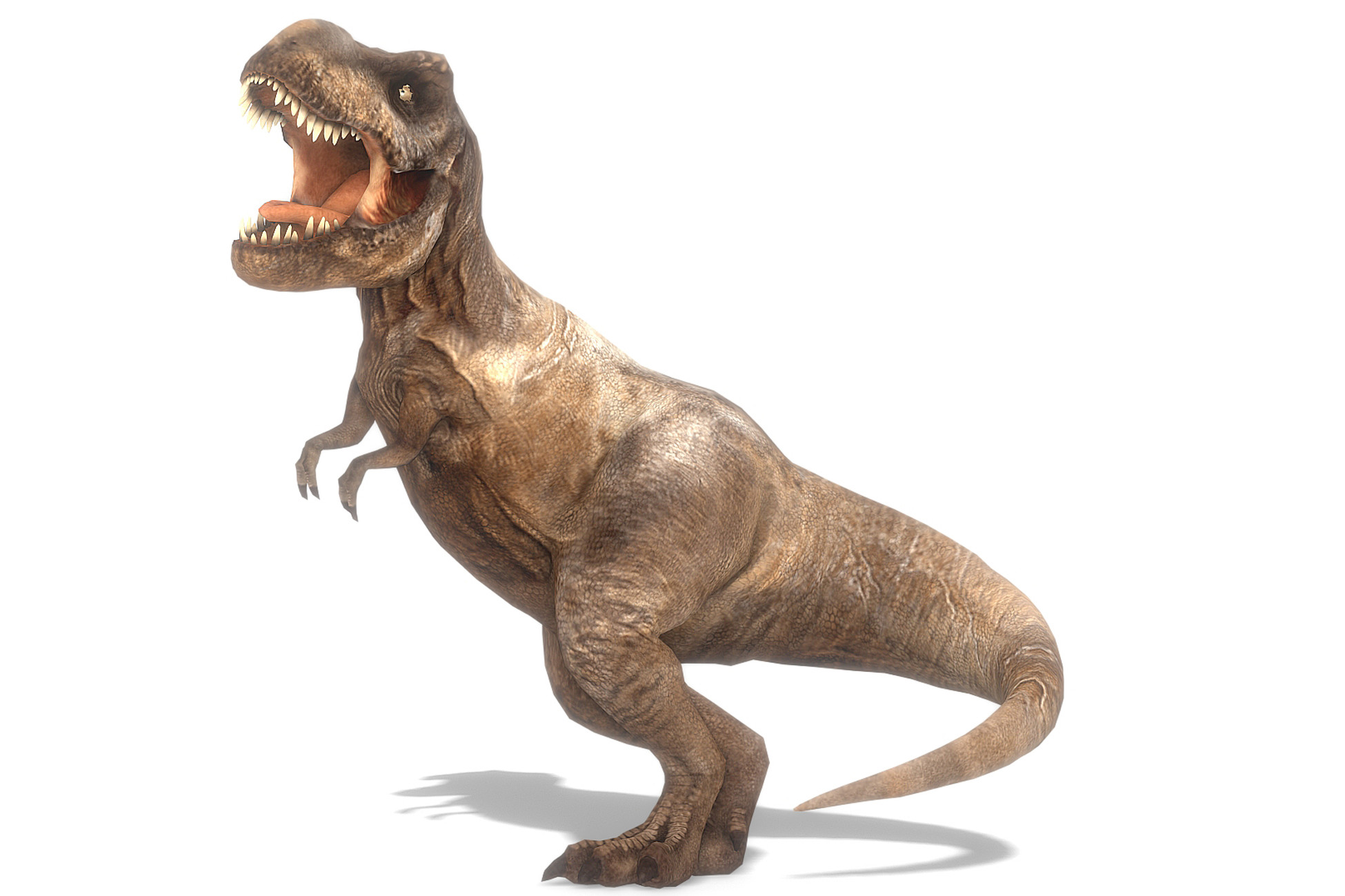 Tyrannosaurus Rex Animated | Characters | Unity Asset Store