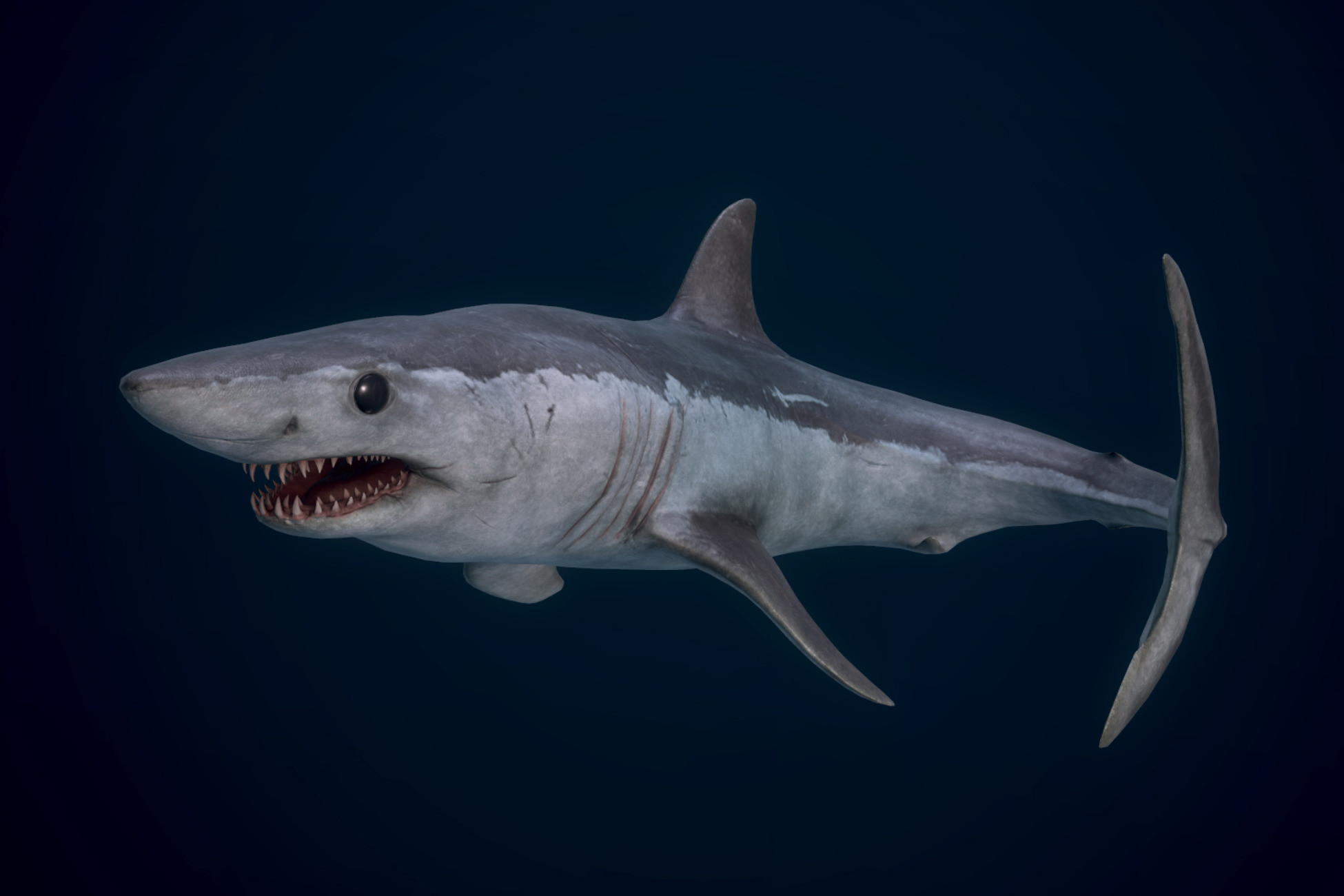 Mako Shark | Characters | Unity Asset Store