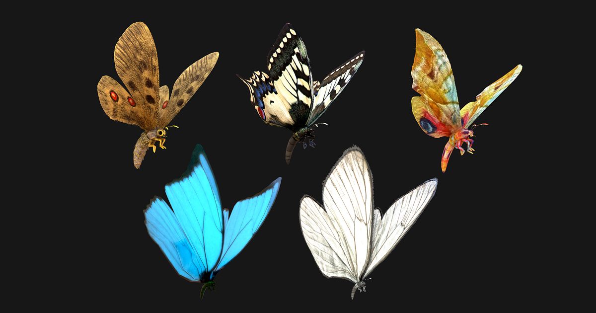 Butterflies Collection | Characters | Unity Asset Store