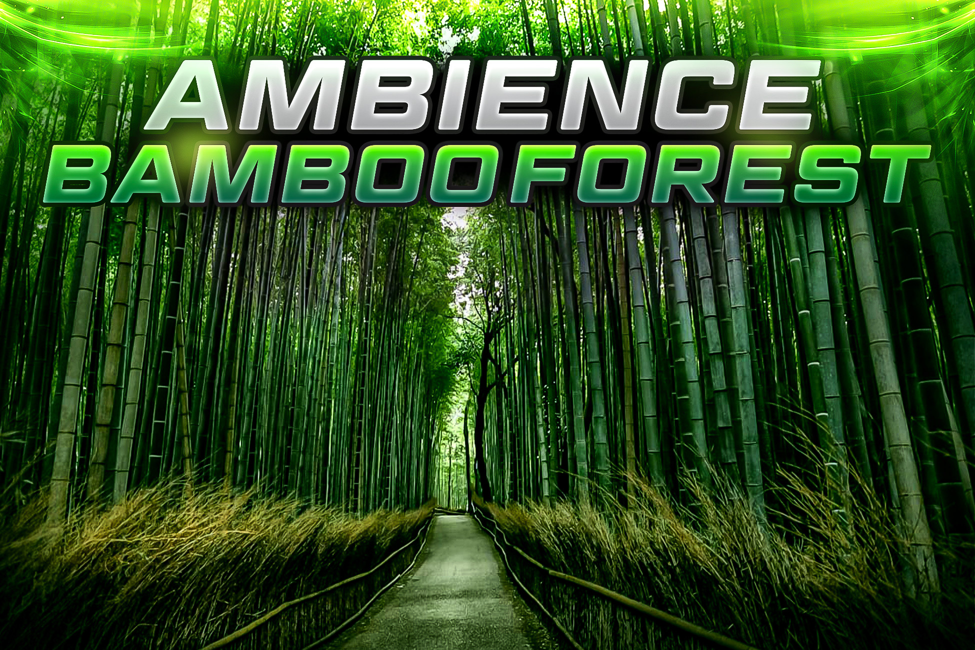 Ambient Video Game Music - Bamboo Forest | Audio Ambient | Unity Asset ...