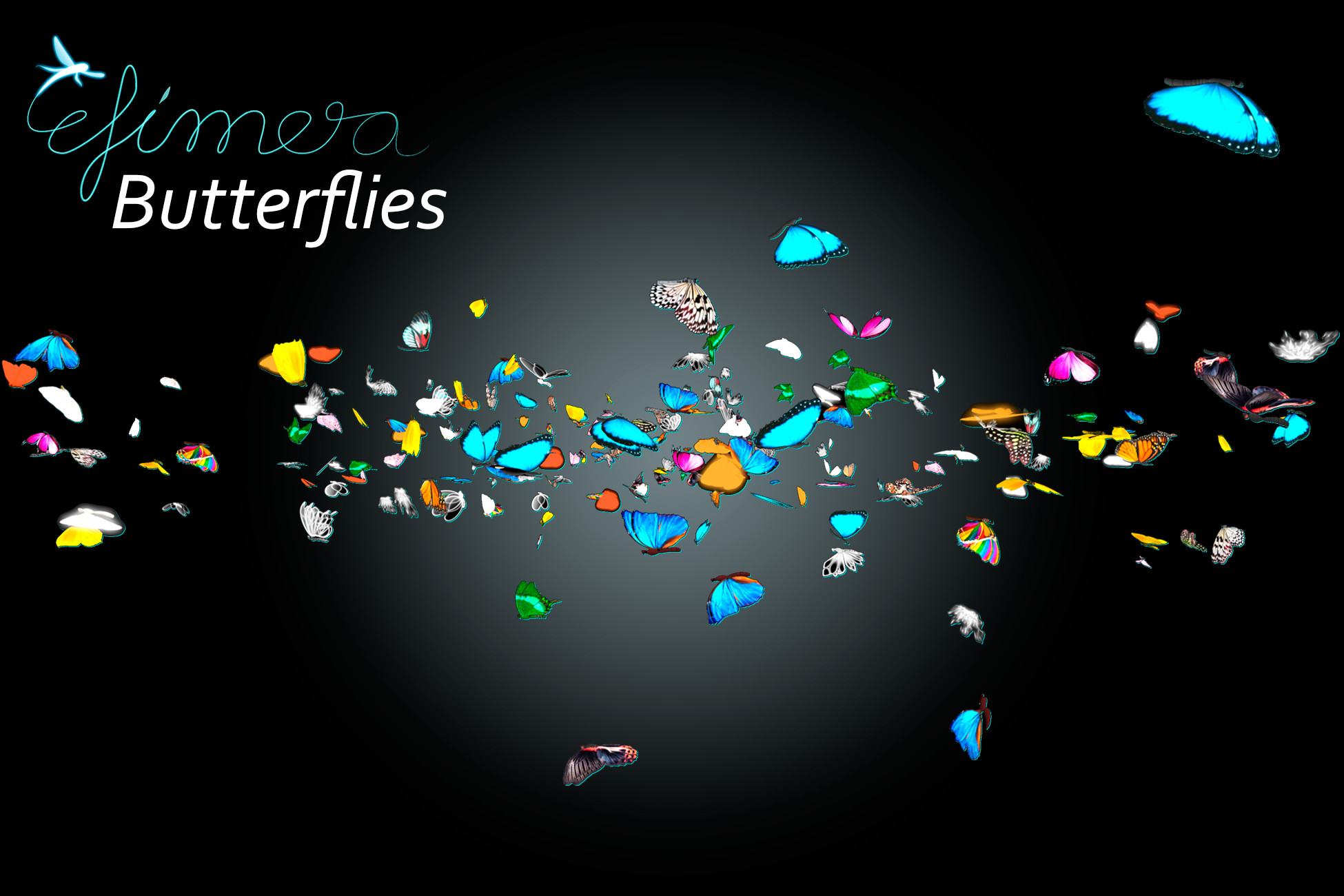 Efimera-butterflies | VFX Particles | Unity Asset Store
