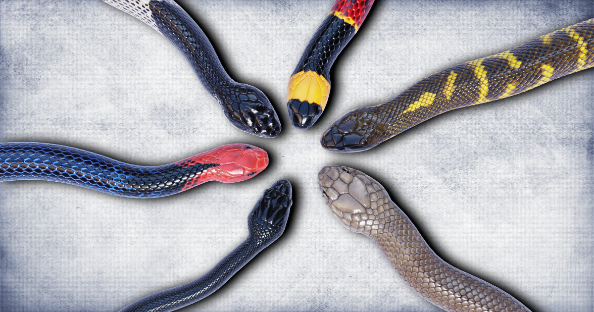 Animated Snakes Volume 5 | Characters | Unity Asset Store