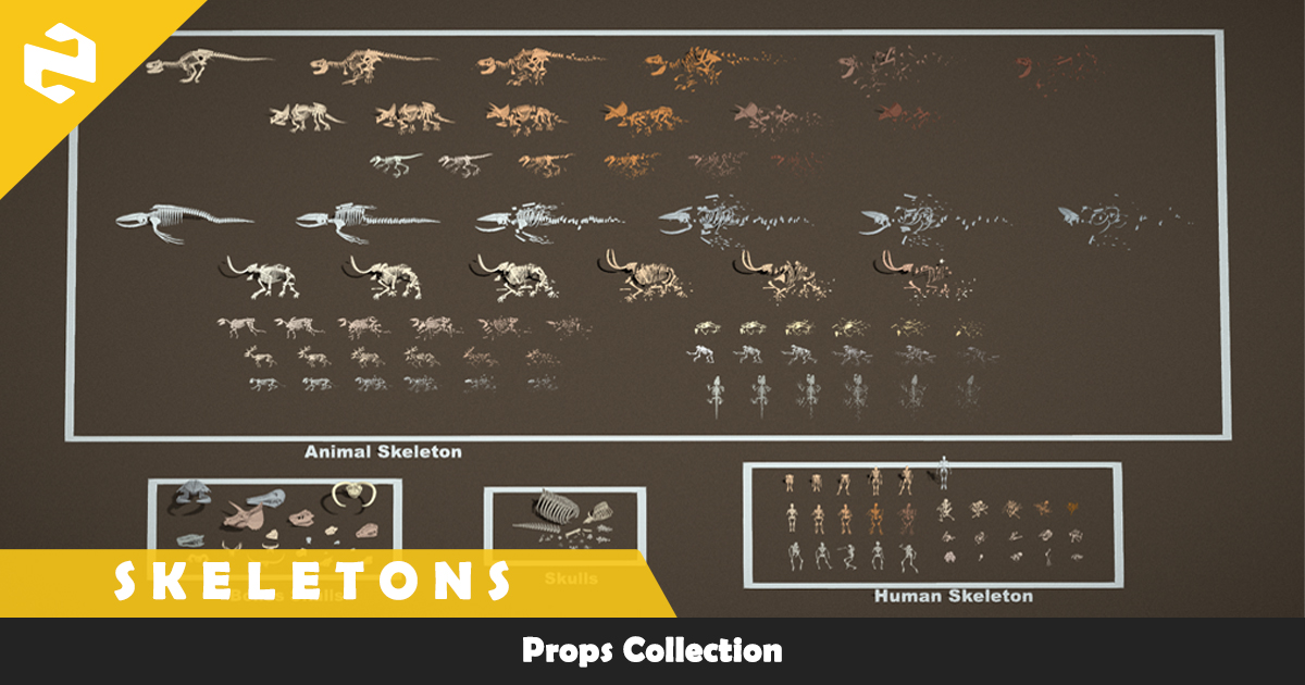 Skeleton Props Collection | 3D Props | Unity Asset Store