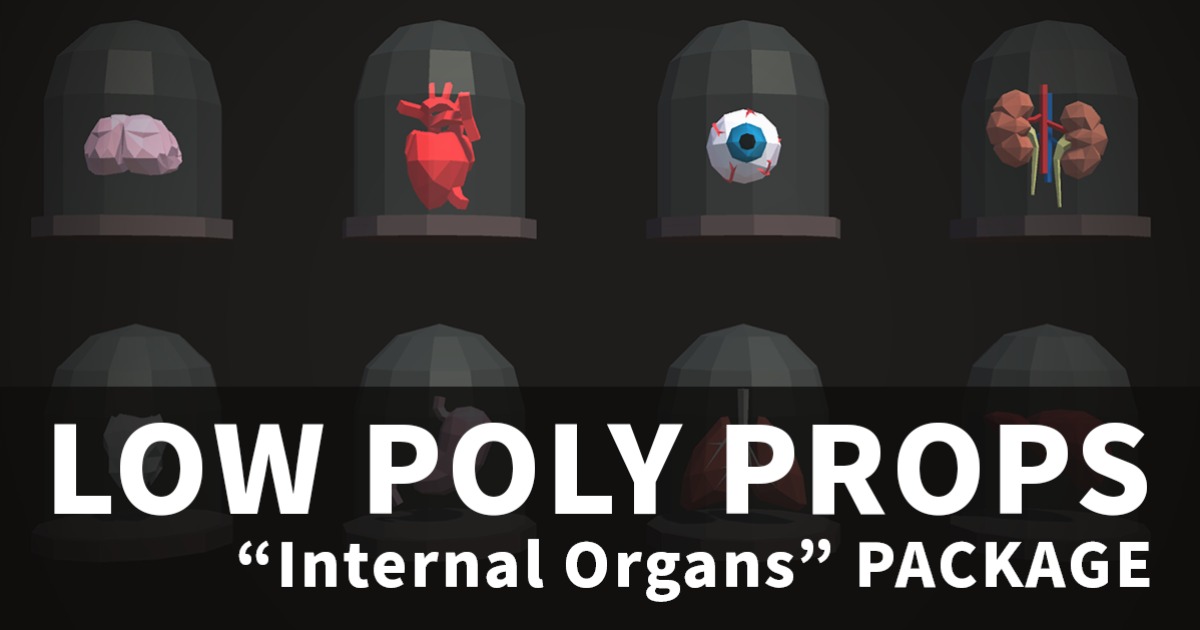 3d Human Internal Organs Props 3d Props Unity Asset Store 