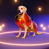 3D Animated Dog Model