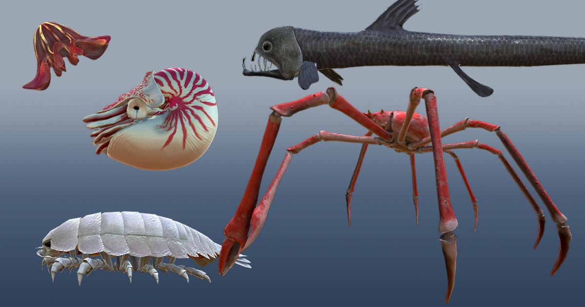 Deep Sea Life : Bundle 01 | 3D Creatures | Unity Asset Store