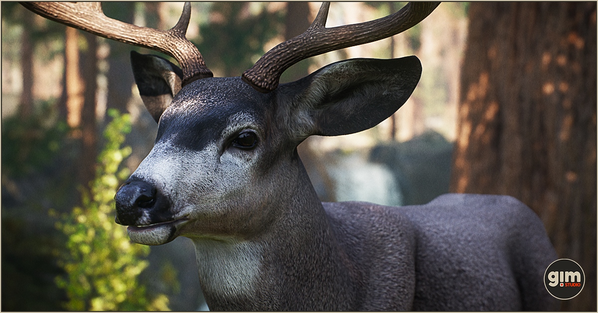 Animalia - Mule Deer (male) | 3D Animals | Unity Asset Store
