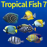 Tropical Fish 7