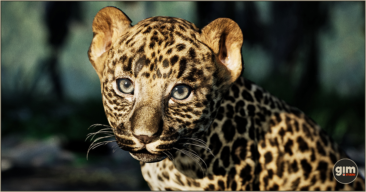 Animalia - Leopard (young) | 3D Animals | Unity Asset Store