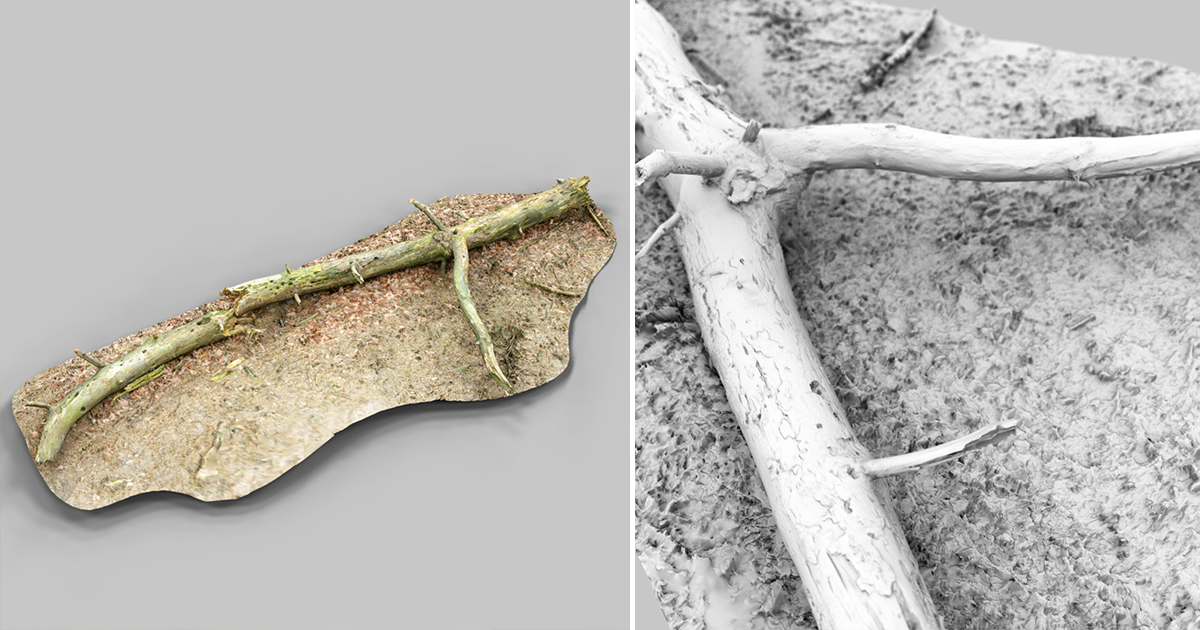 Ground Tree | 3D Trees | Unity Asset Store