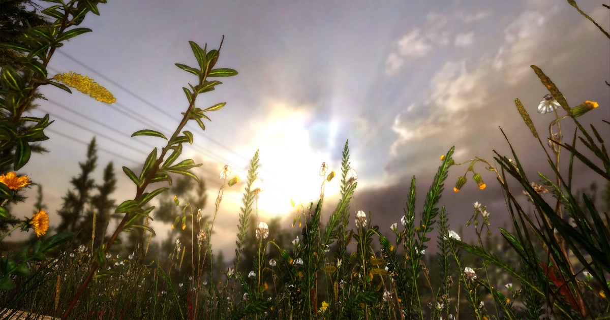 Realistic Grass Pack 1 | 2D Nature | Unity Asset Store