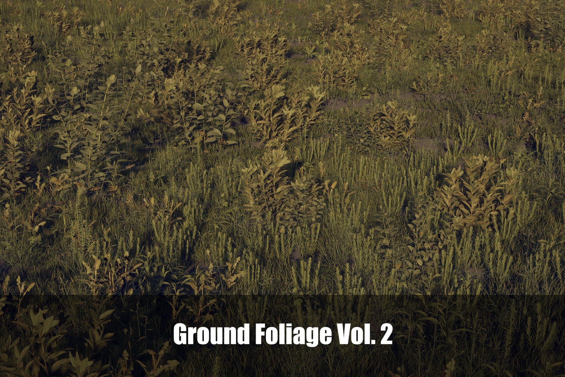 Ground Foliage Vol. 2 | 3D Plants | Unity Asset Store