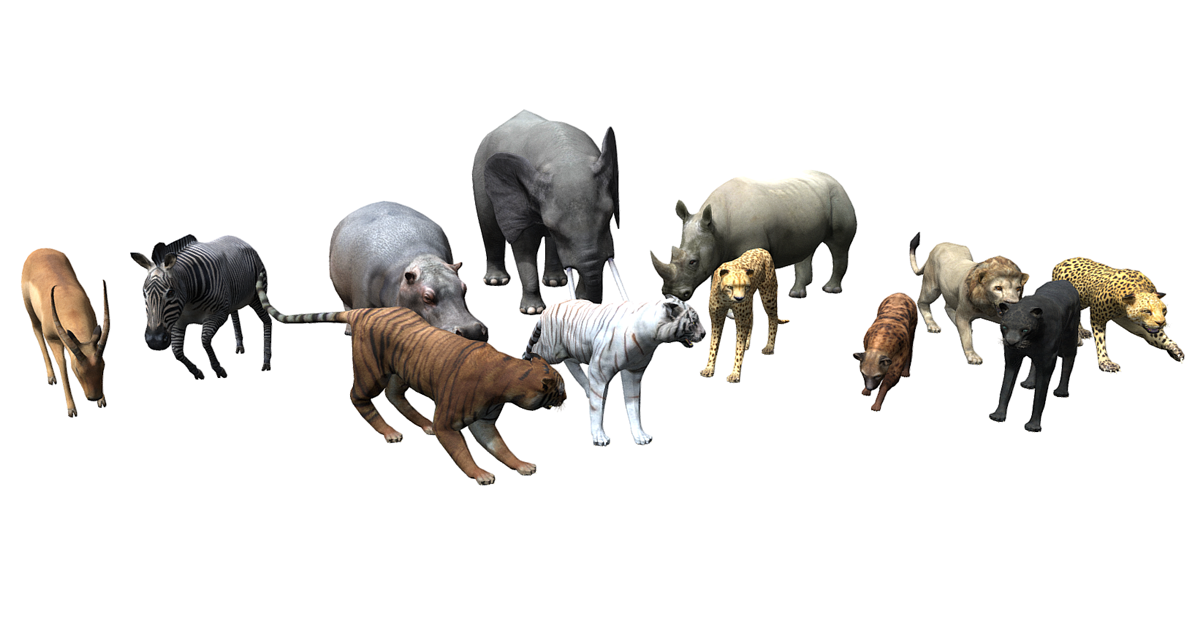 African Animal Pack | Characters | Unity Asset Store