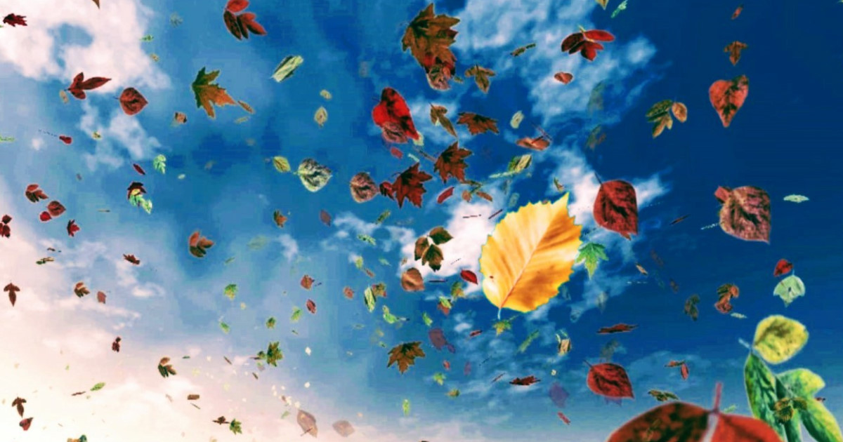 Autumn Leaves Effect Pack | VFX Particles | Unity Asset Store