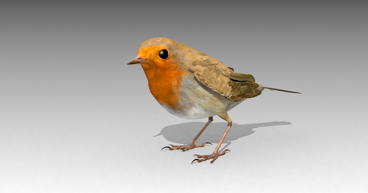 Robin | Characters | Unity Asset Store