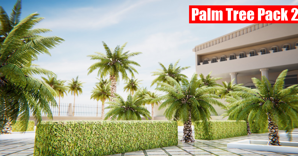 Palm Tree Pack Free | 3D Trees | Unity Asset Store