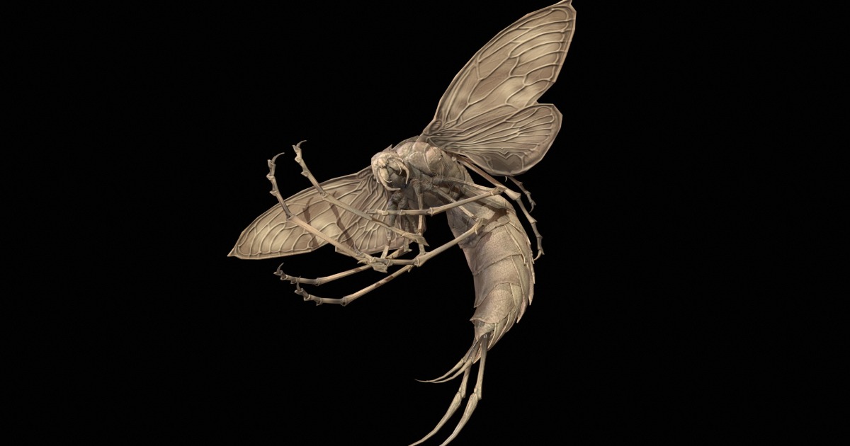 FlyingBug2 A1 | Characters | Unity Asset Store