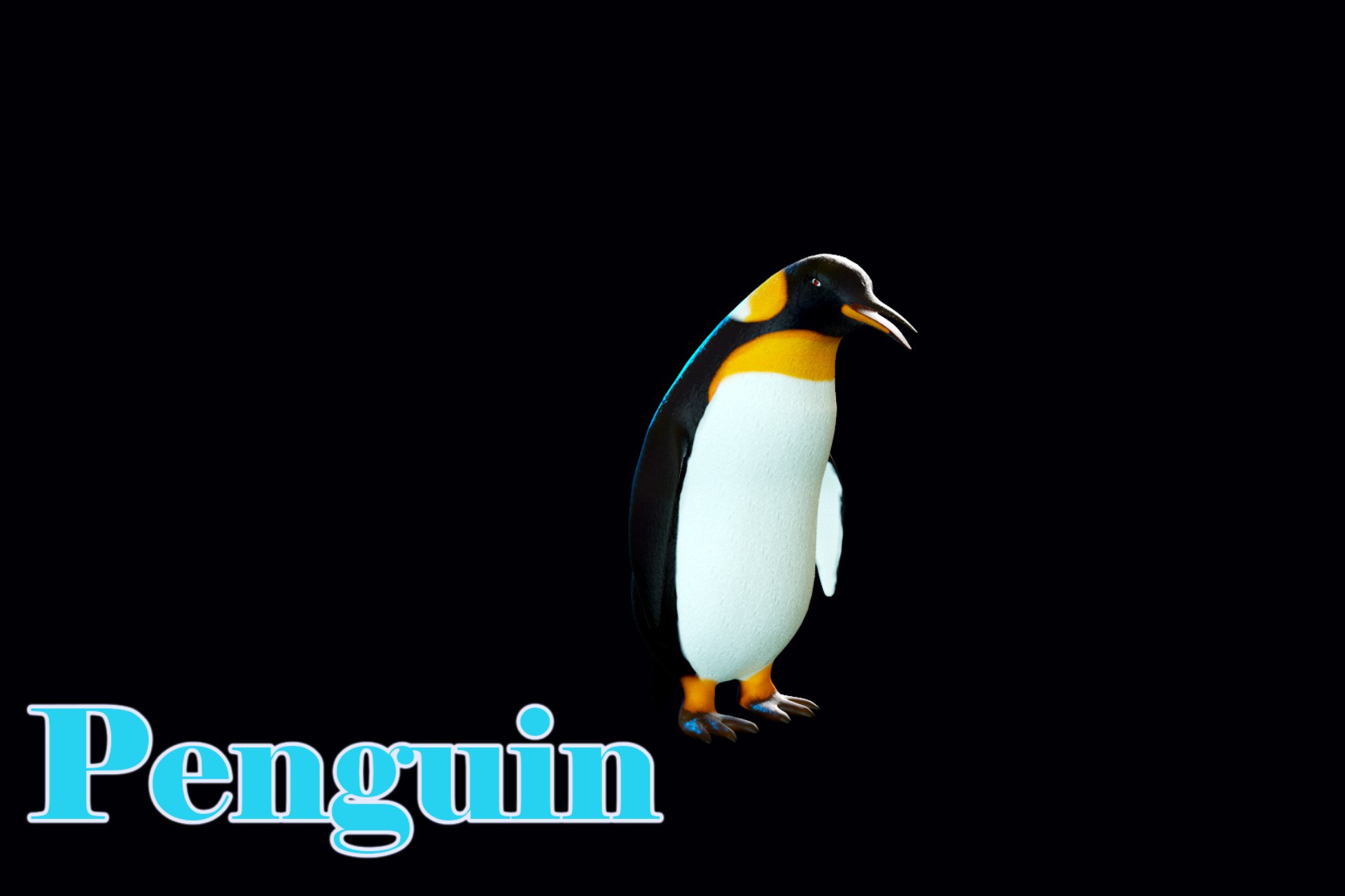 Penguin Character | Characters | Unity Asset Store