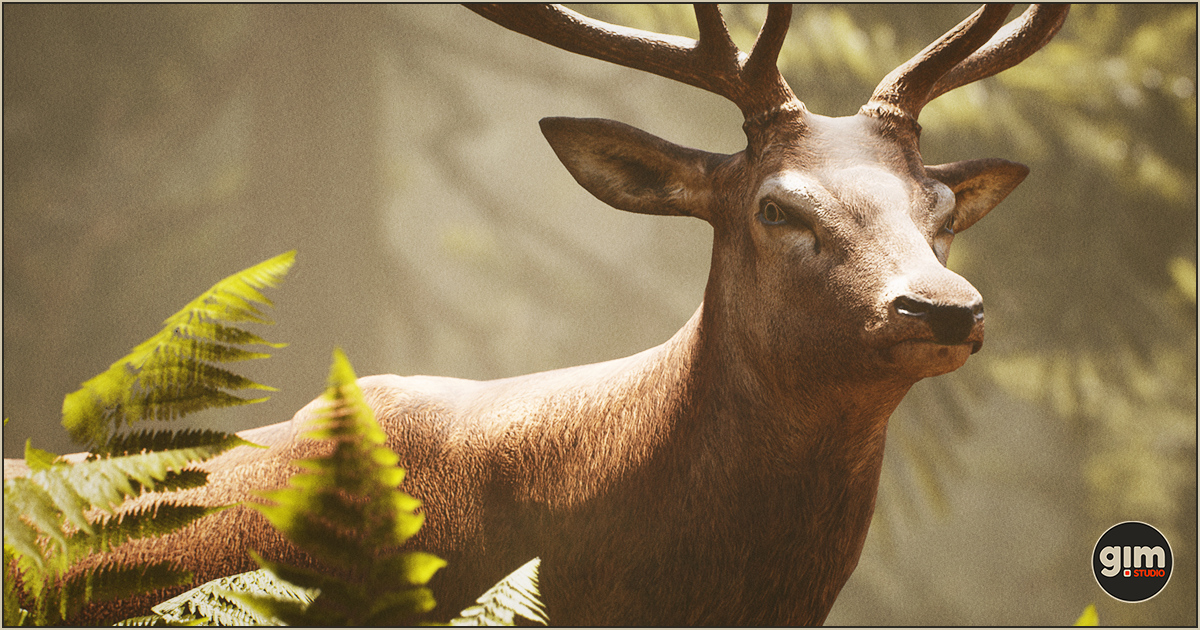Animalia - Red Deer (male) | 3D Animals | Unity Asset Store