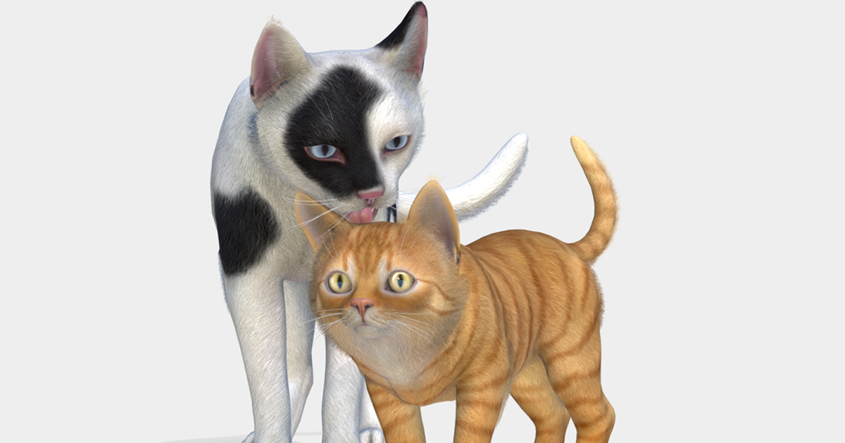 Cats Family | 캐릭터 | Unity Asset Store