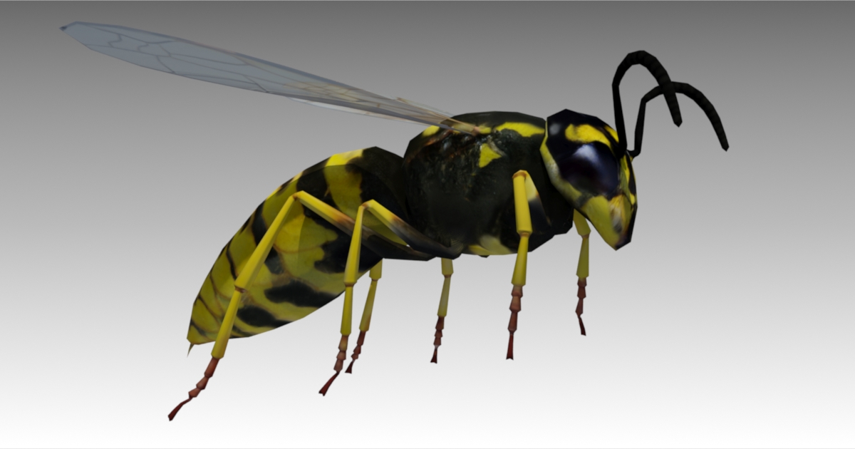 Wasp | Characters | Unity Asset Store