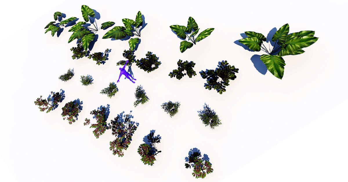 Gen05GroundCover01 | 3D Plants | Unity Asset Store