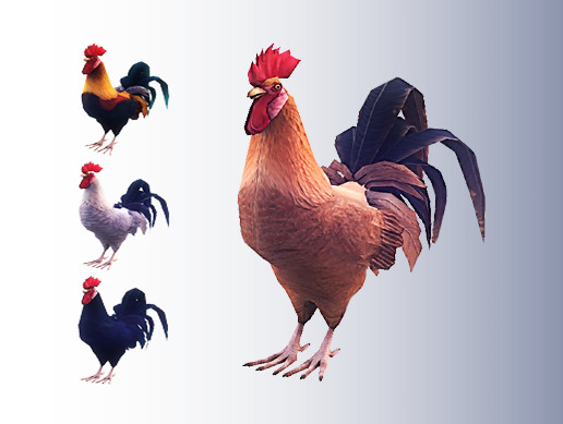 Rooster | Characters | Unity Asset Store
