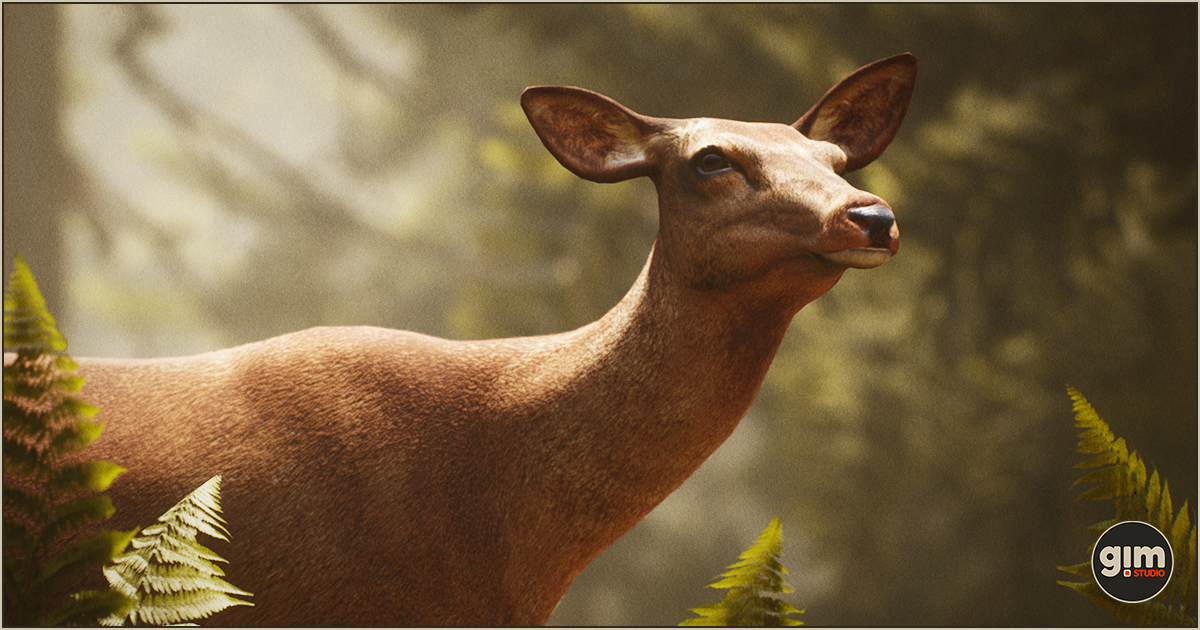 Animalia - Red Deer (female) | Characters | Unity Asset Store