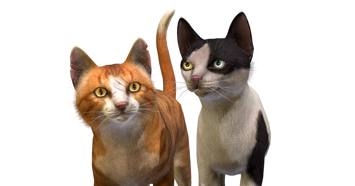 Cats - Strays | Characters | Unity Asset Store