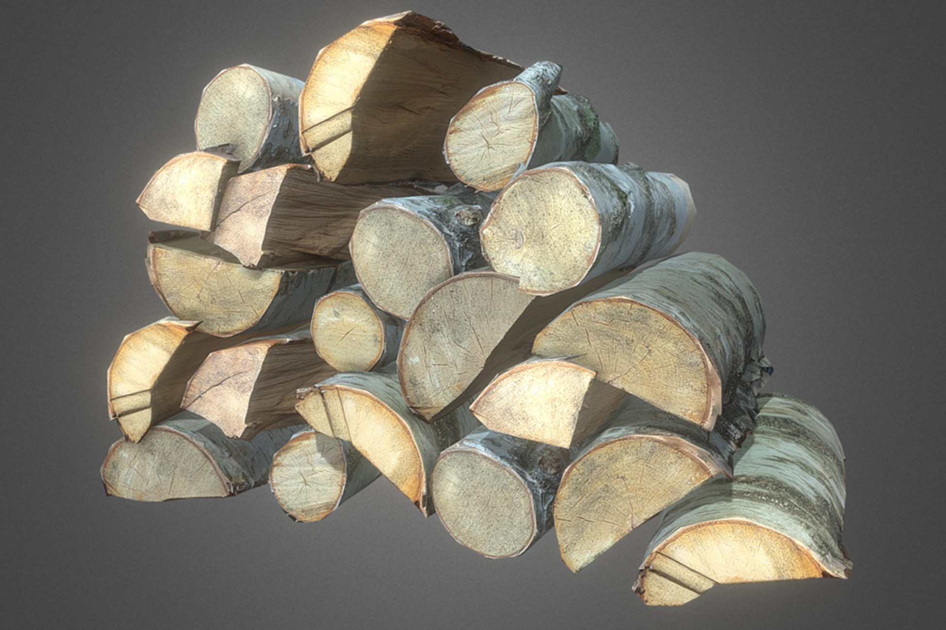 FPQC - 5 birch logs (photogrammetry) | 3D Vegetation | Unity Asset Store