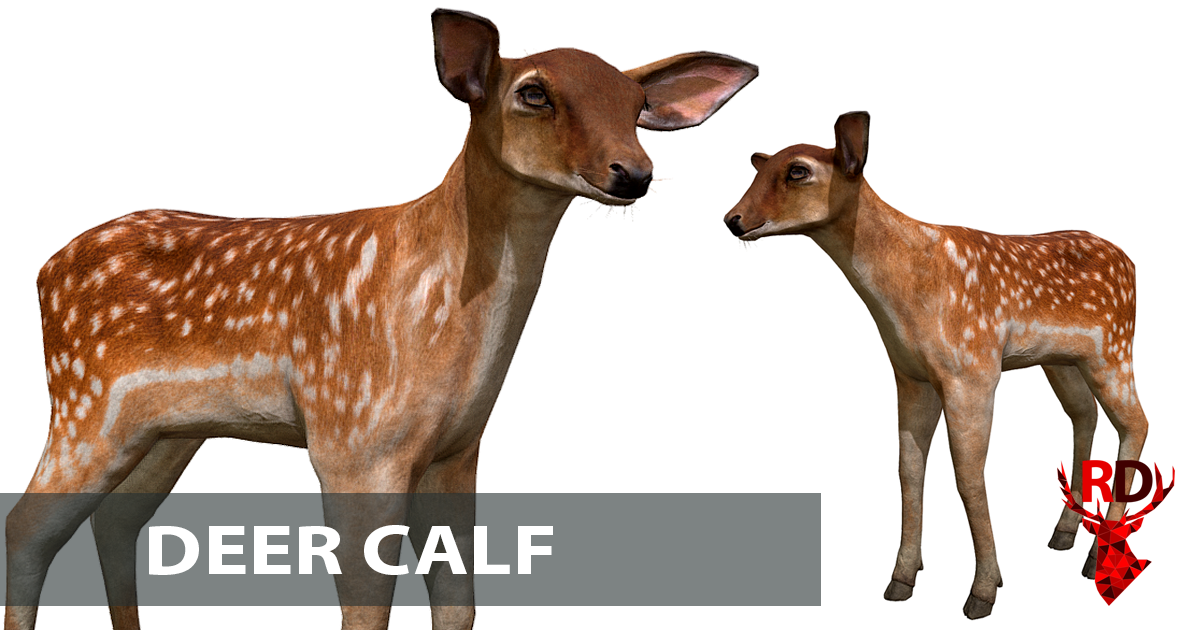 Deer calf | Characters | Unity Asset Store