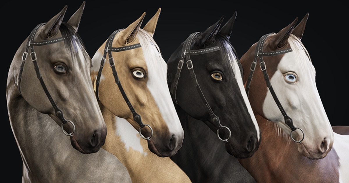 Realistic Horse Herd | Characters | Unity Asset Store