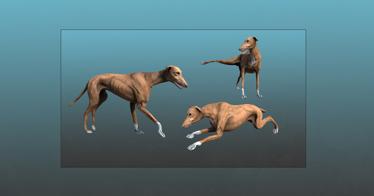 Dog - Greyhound | Characters | Unity Asset Store