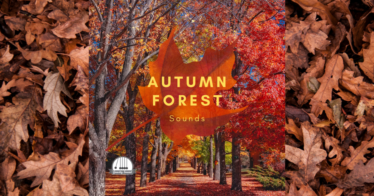 Autumn Forest Sounds | Nature Ambient | Unity Asset Store