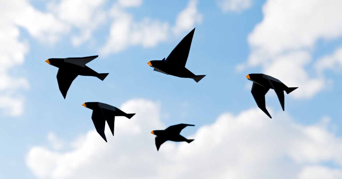 Bird | Characters | Unity Asset Store