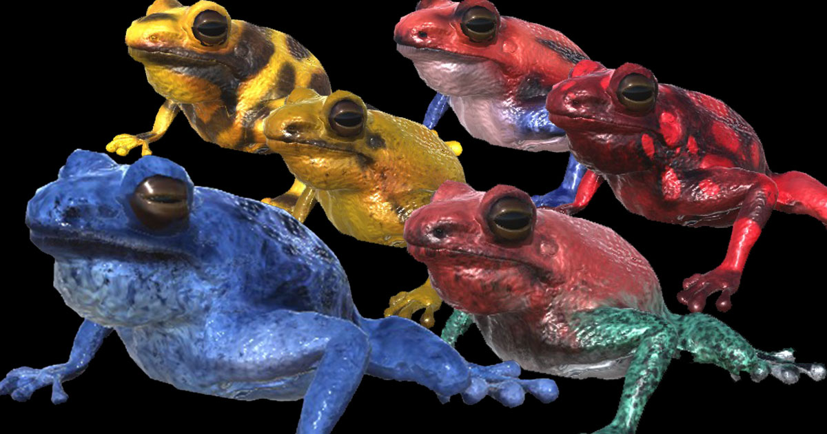 Toxic Frogs | 3D Animals | Unity Asset Store