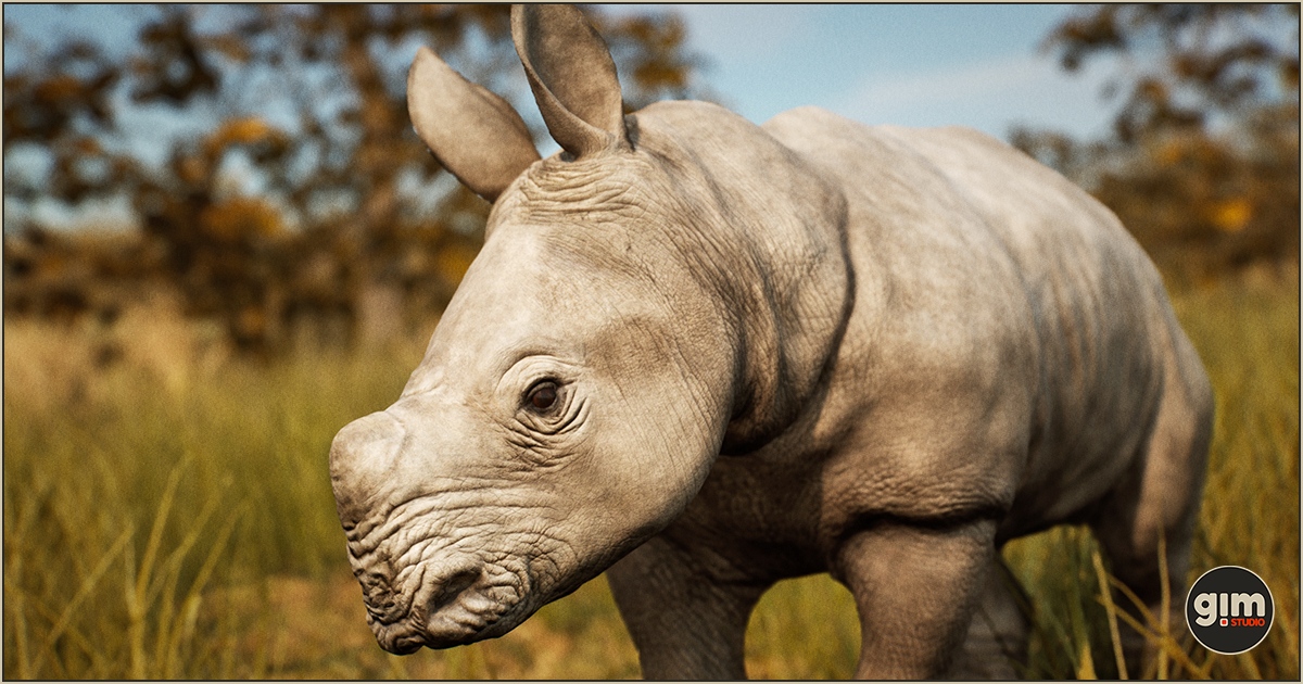 Animalia - White Rhinoceros (young) | 3D Animals | Unity Asset Store