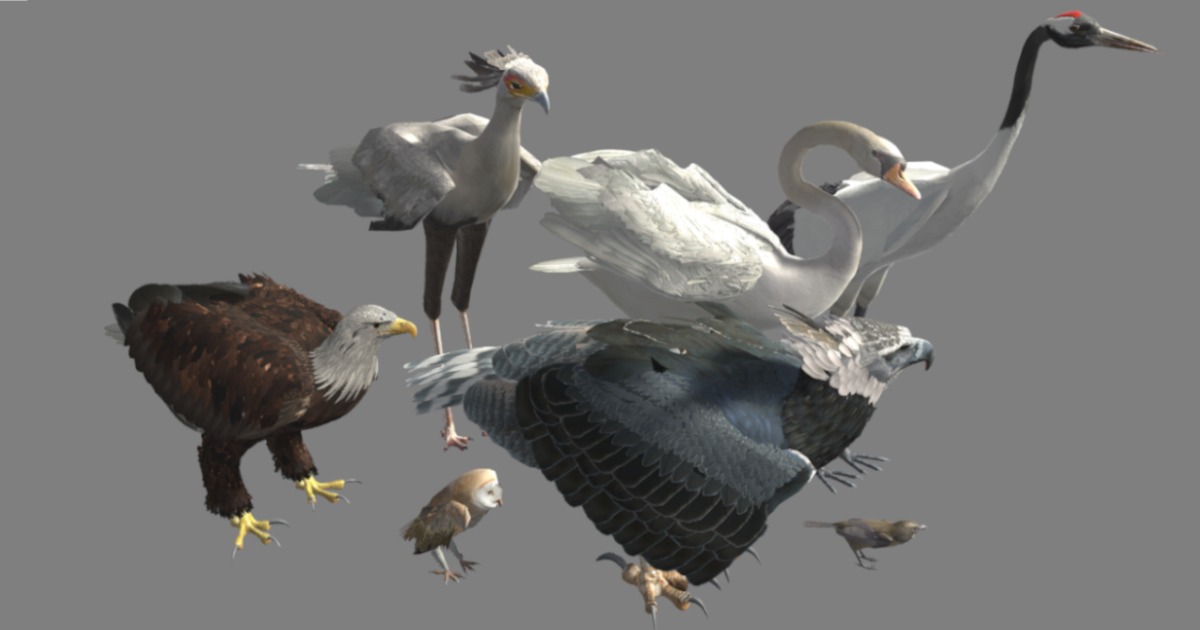 7 Birds Pack | Characters | Unity Asset Store