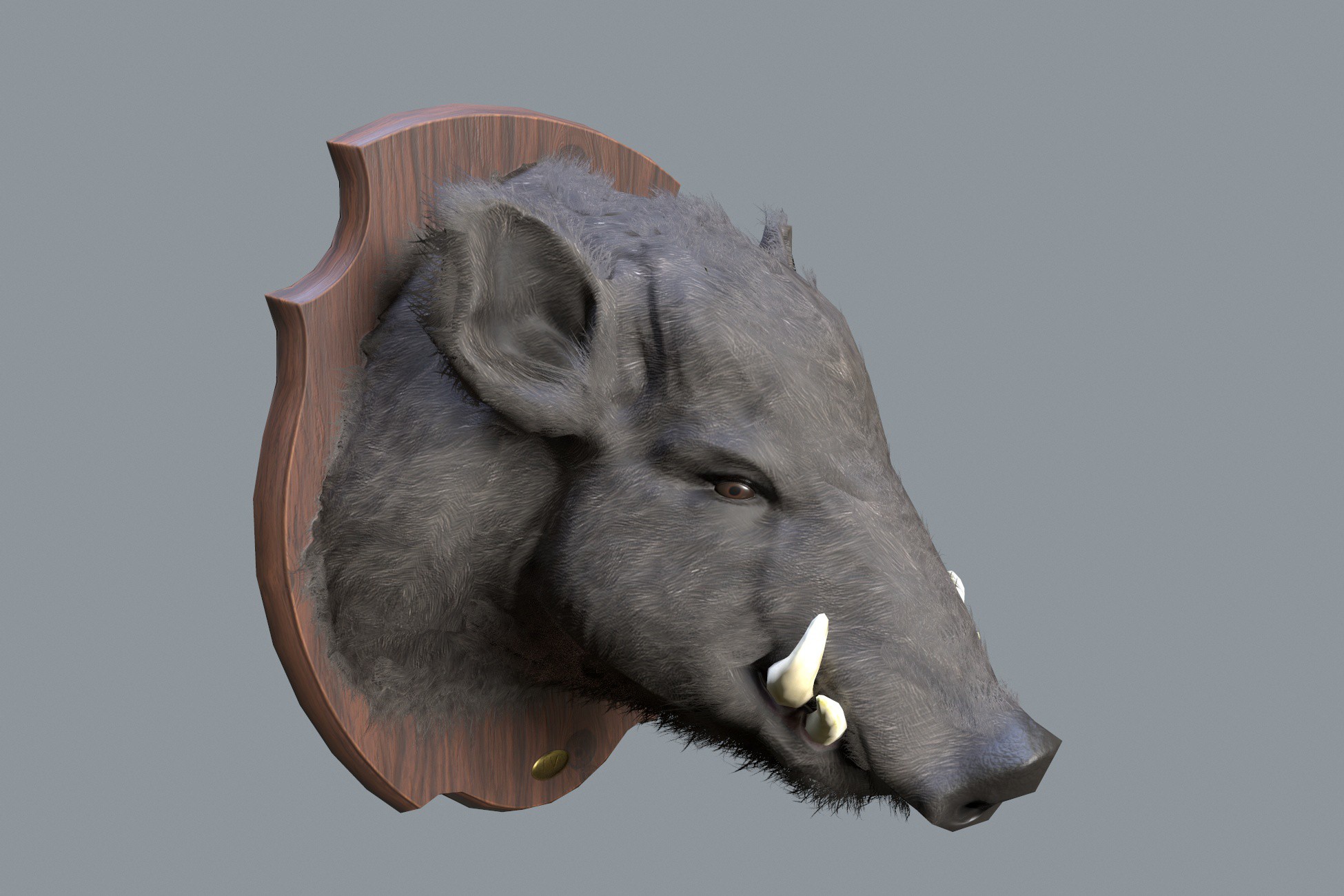 Wild Boar head | 3D Furniture | Unity Asset Store