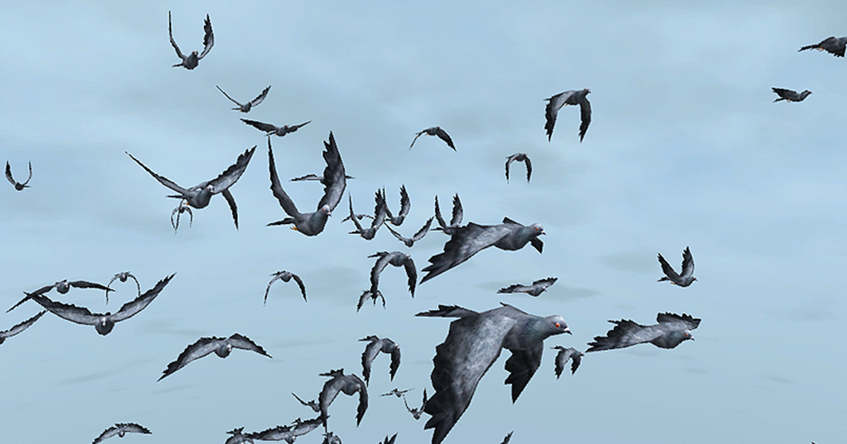 Bird Flock Pigeon | Characters | Unity Asset Store