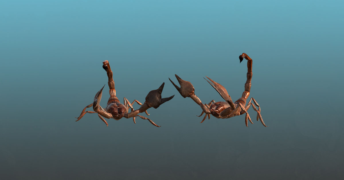 Scorpio (Full Version) | Characters | Unity Asset Store