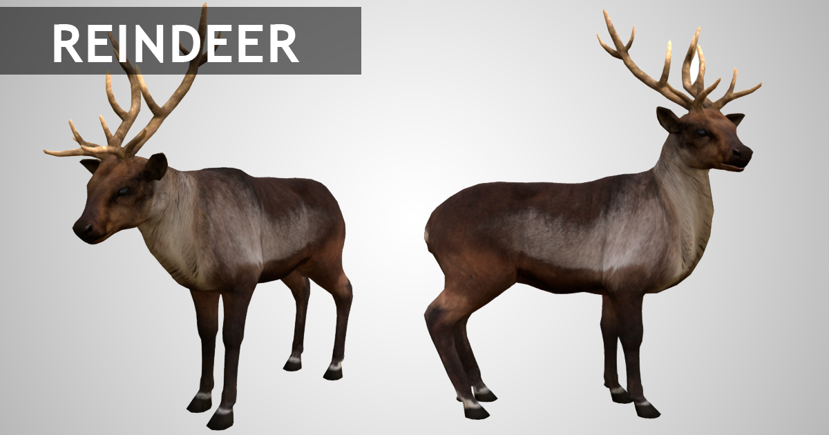 Reindeer | Characters | Unity Asset Store