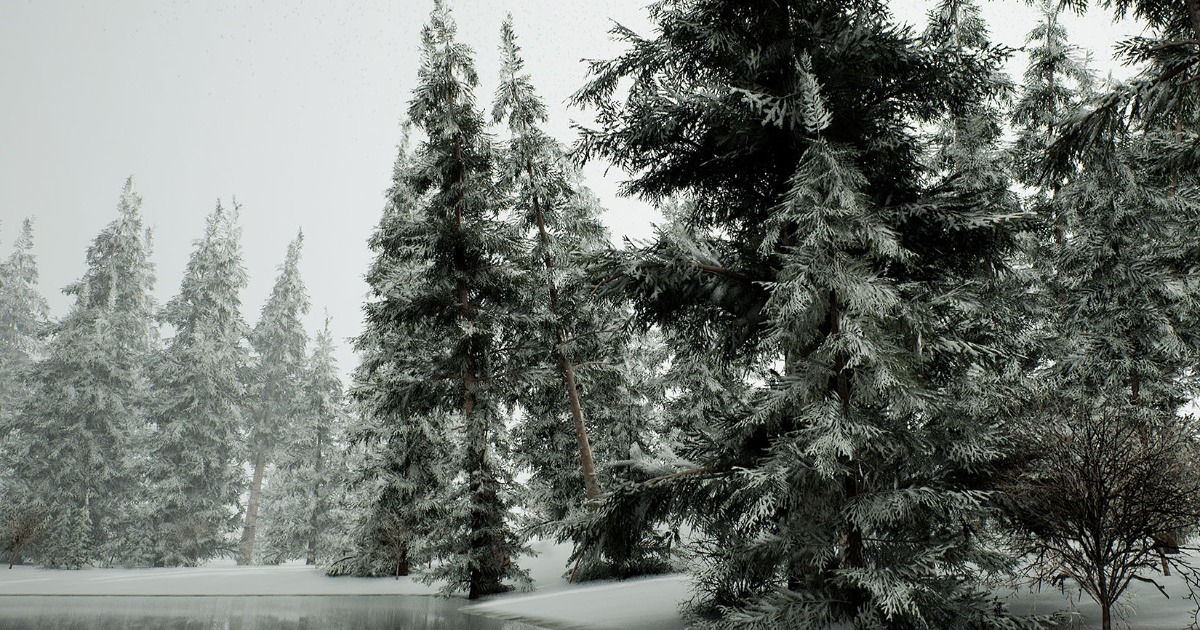 Spruce Forest summer and winter | 3D Environments | Unity Asset Store