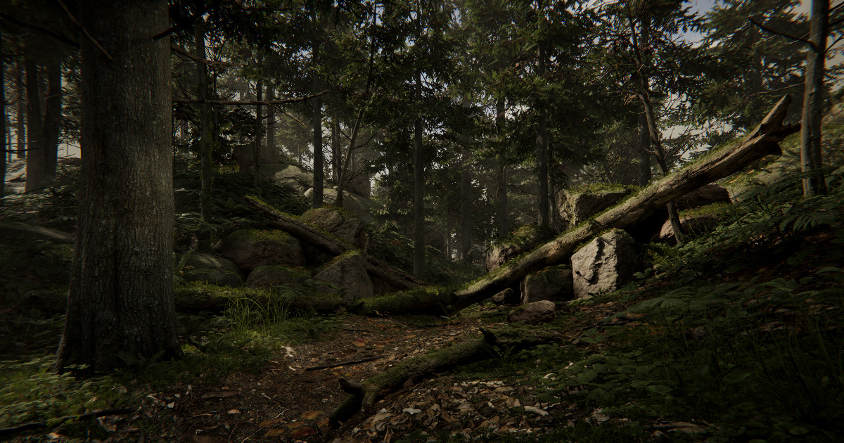 Mossy Cedrus Forest | 3D Environments | Unity Asset Store